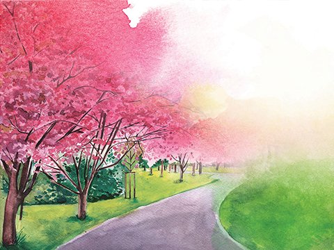 Townships in Bangalore | Private SEZ | Manyata Developers, India